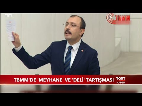 TBMM'de 'Meyhane' ve 'Deli' Tartışması