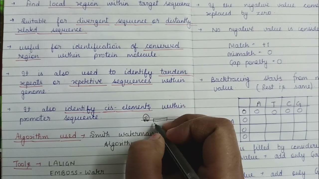 Local Sequence Alignment: Smith Waterman Algorithm - YouTube