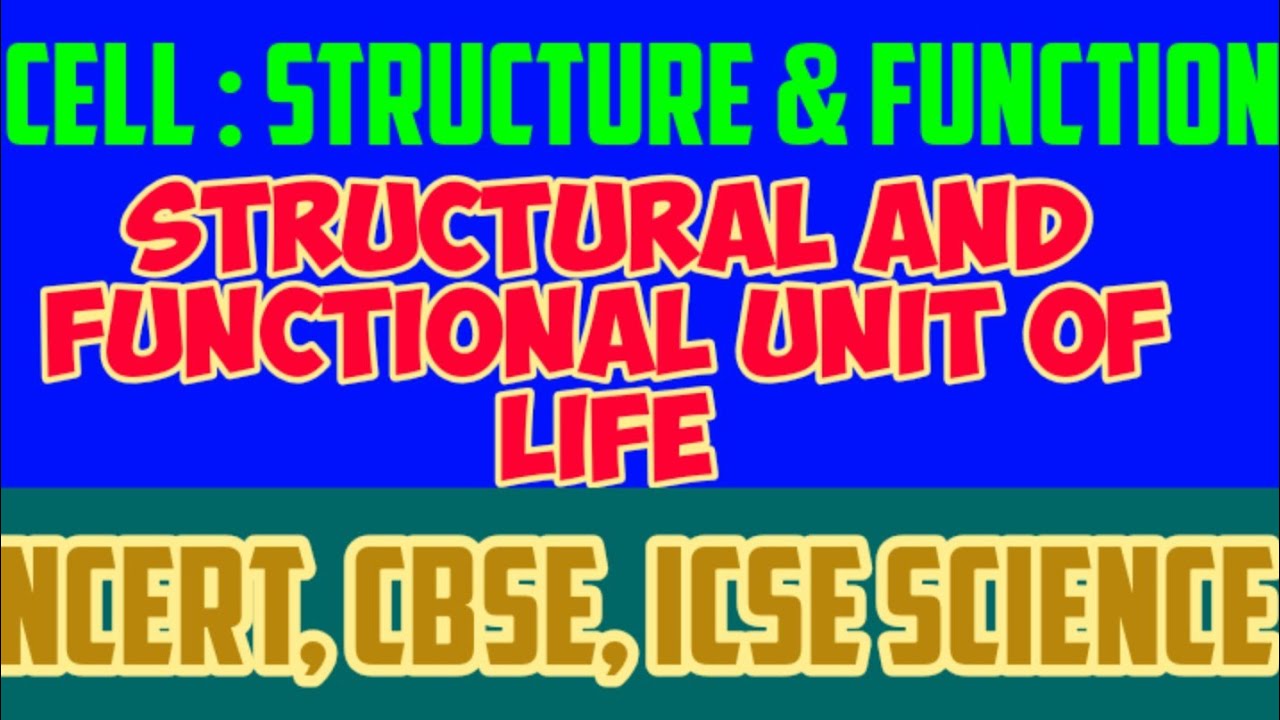 Cell: Structural and Functional Unit of Life - YouTube