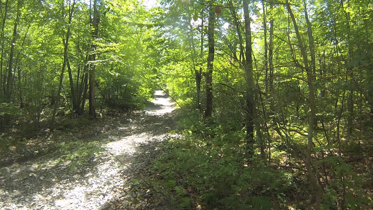 Freetown state forest ride 8/12/15 part 2 - YouTube