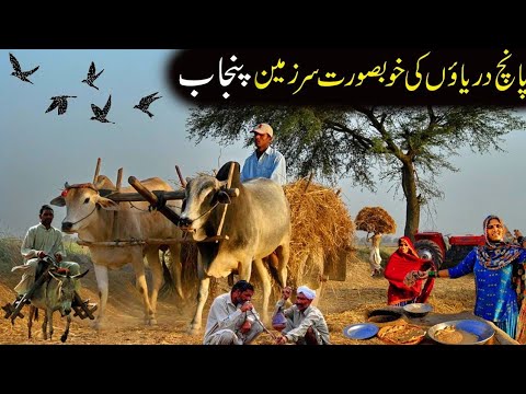 Beautiful Village Life in Punjab Pakistan | Village Life - YouTube