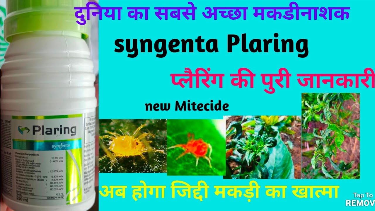 Syngenta Plaring || Syngenta New insecticide product Plaring || सिजेंटा ...