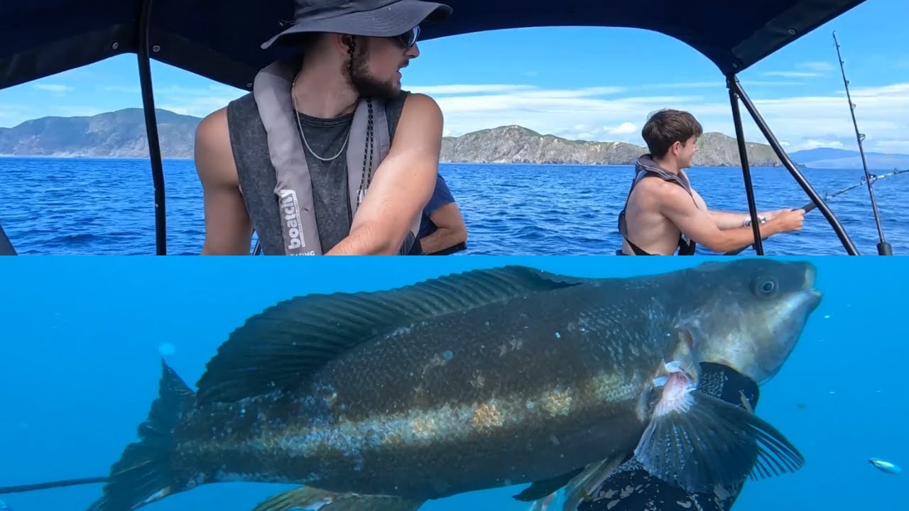 Deep drops/Diving/Fishing 7m deep - Kapiti Coast - YouTube