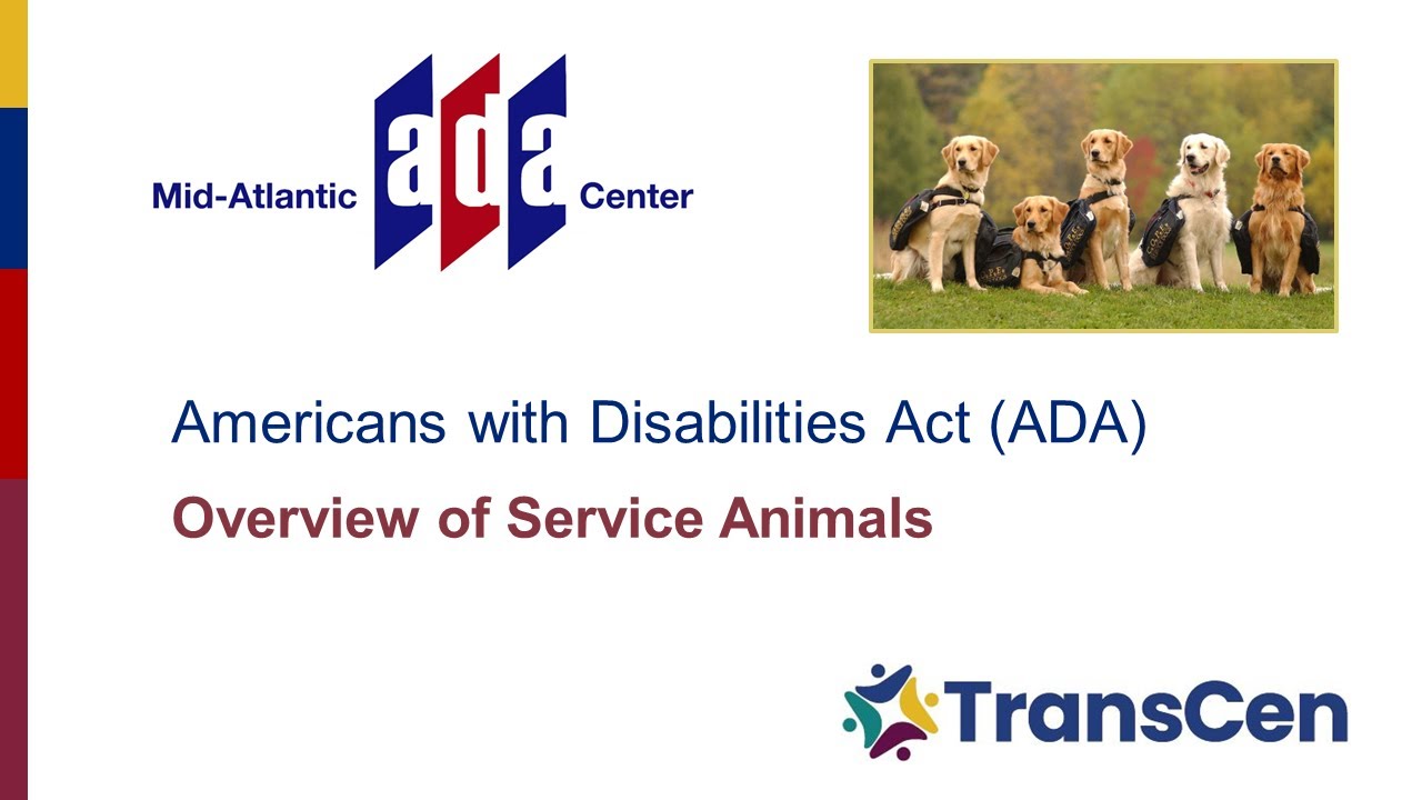 Overview of Service Animals - YouTube