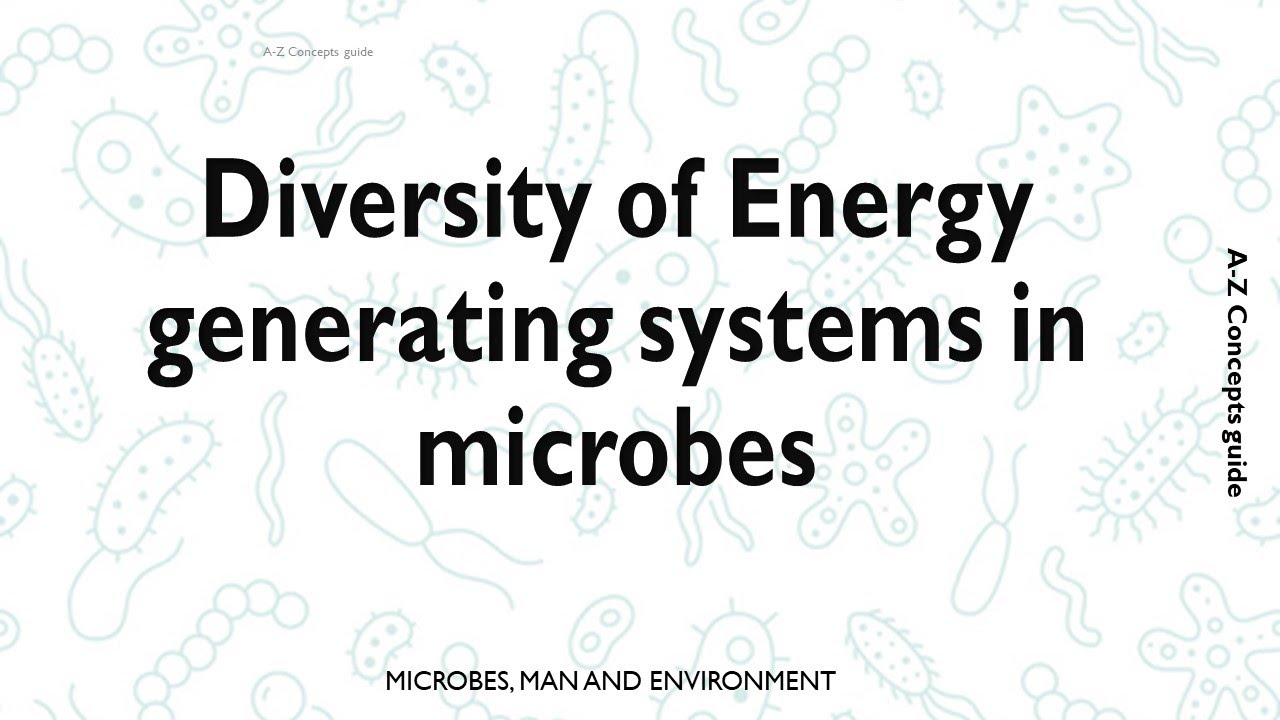 Diversity of energy generating systems in microbes|Microbes, man and ...