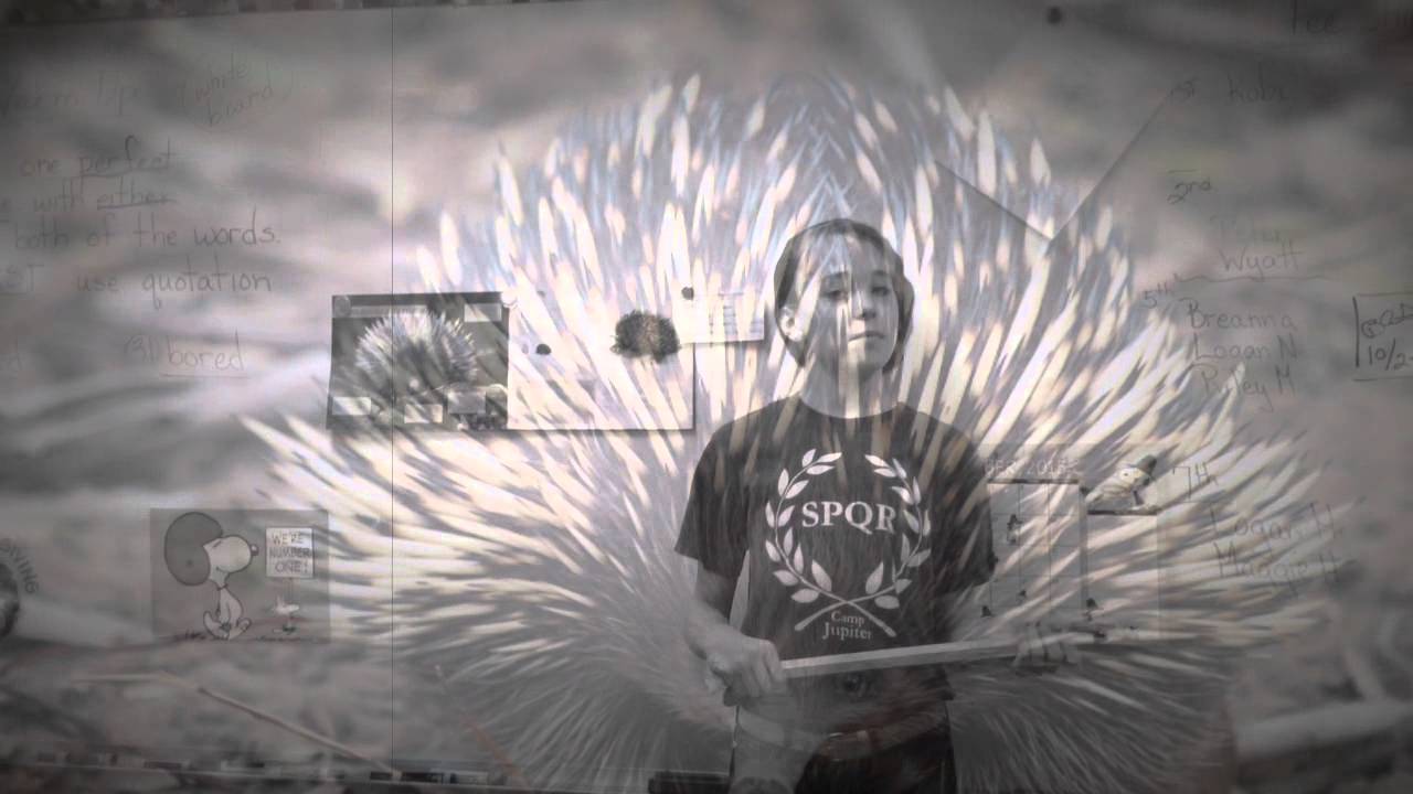 Abbie Dodd - YouTube