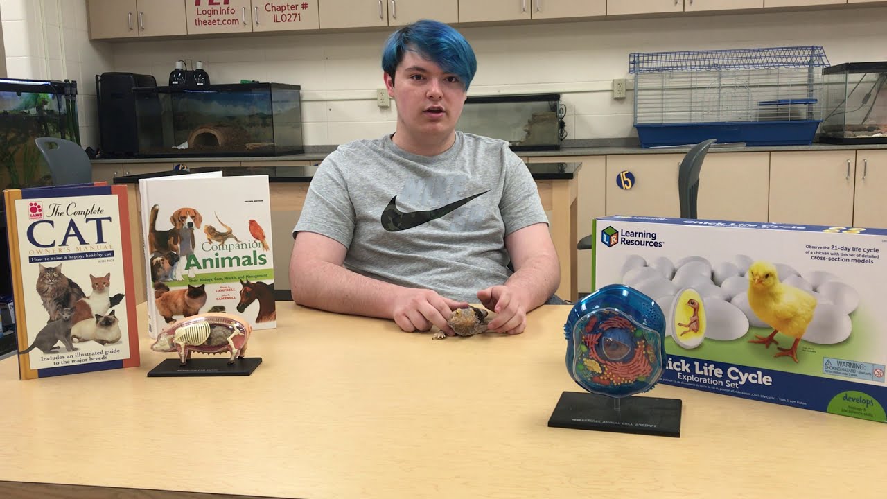 Companion Animal Science 2 Promo Video - YouTube