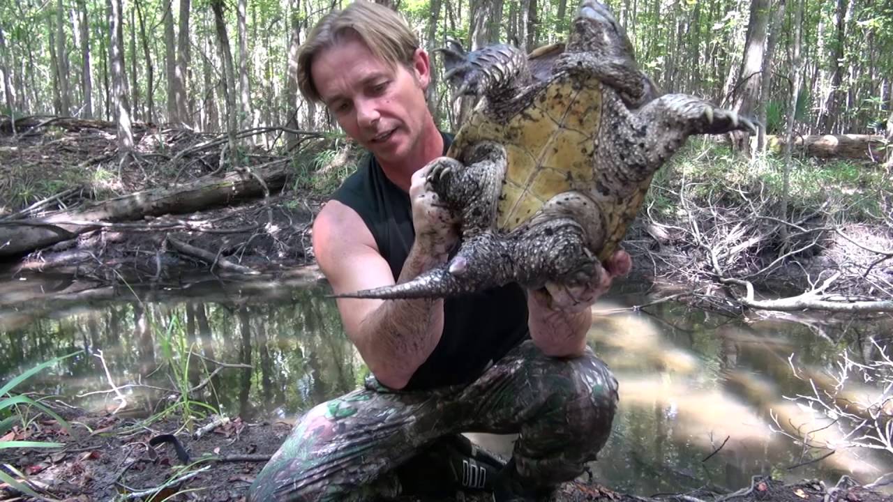 SNAPPING TURTLE FAIL! - YouTube