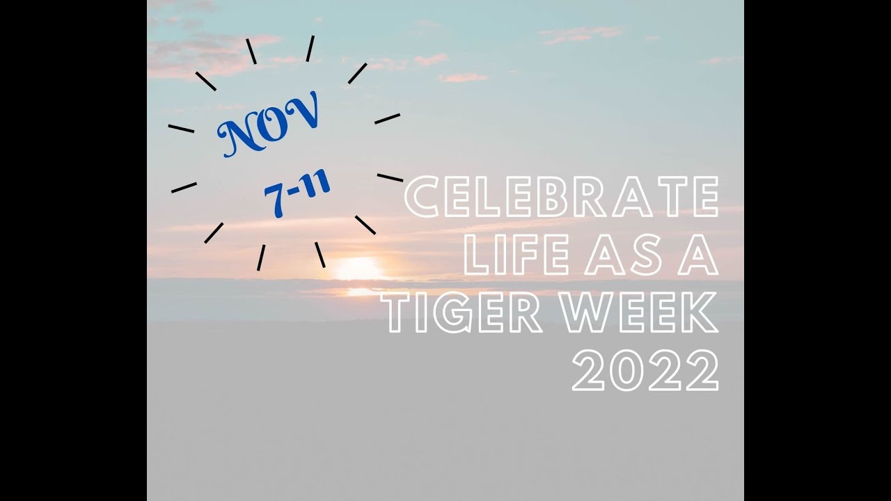 Celebrate Life As A Tiger Week - Thursday - YouTube