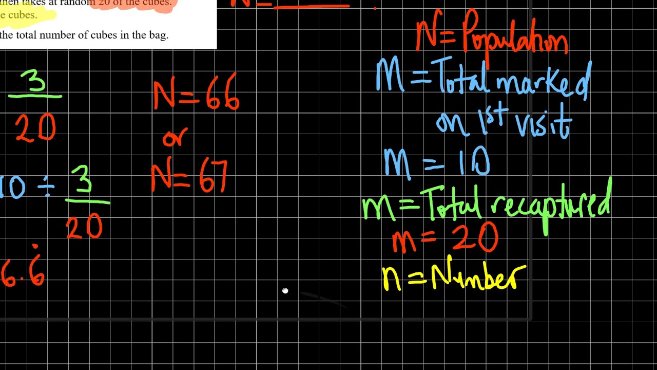 Probability and Petersen capture recapture formula - YouTube