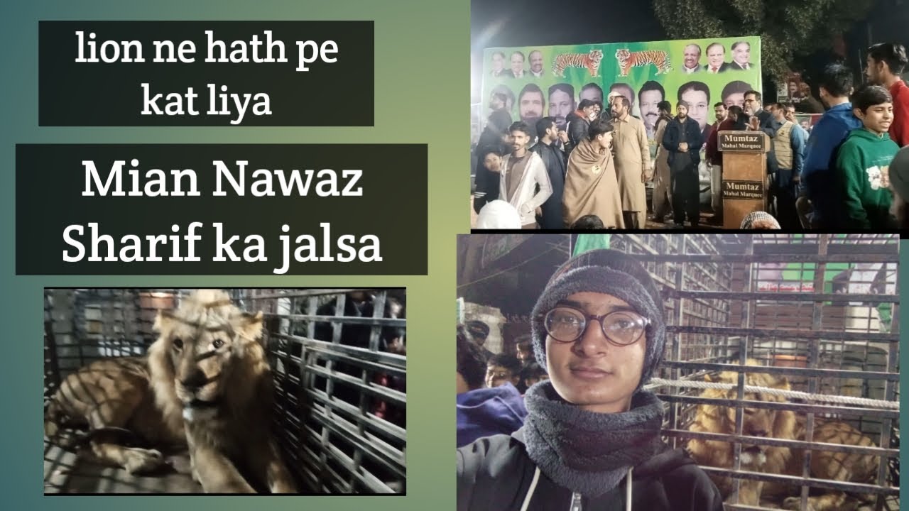 Lion ne hath mn kat lia || Mn Nawaz sharif k jalsy pe gya || KYR Vlog ...