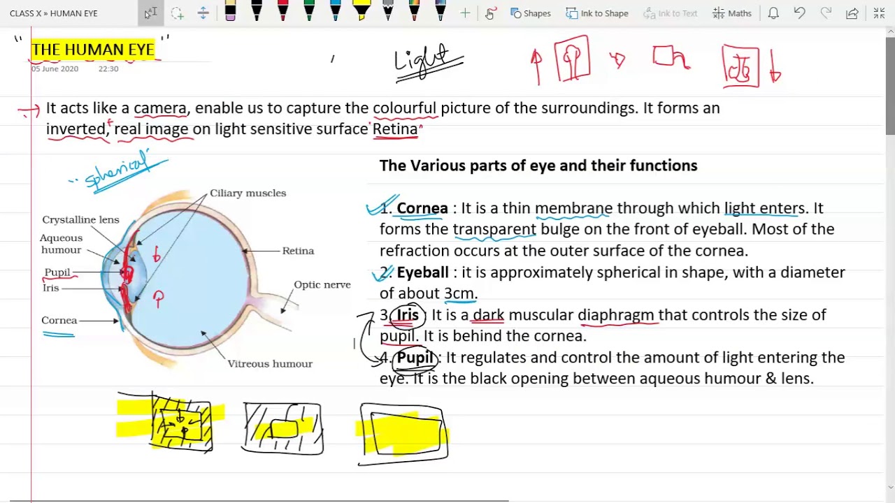 01. Human Eye & Colourful World | CBSE CLASS X | Akshay Patil - YouTube
