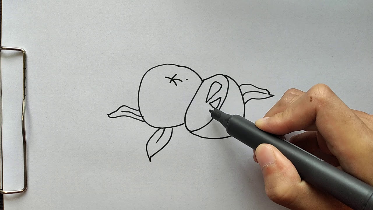How To Draw Mandarin YouTube how-to-draw-mandarin-youtube