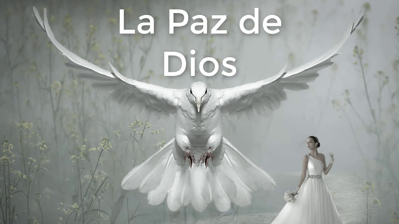 Cómo podemos tener la paz de Dios - YouTube