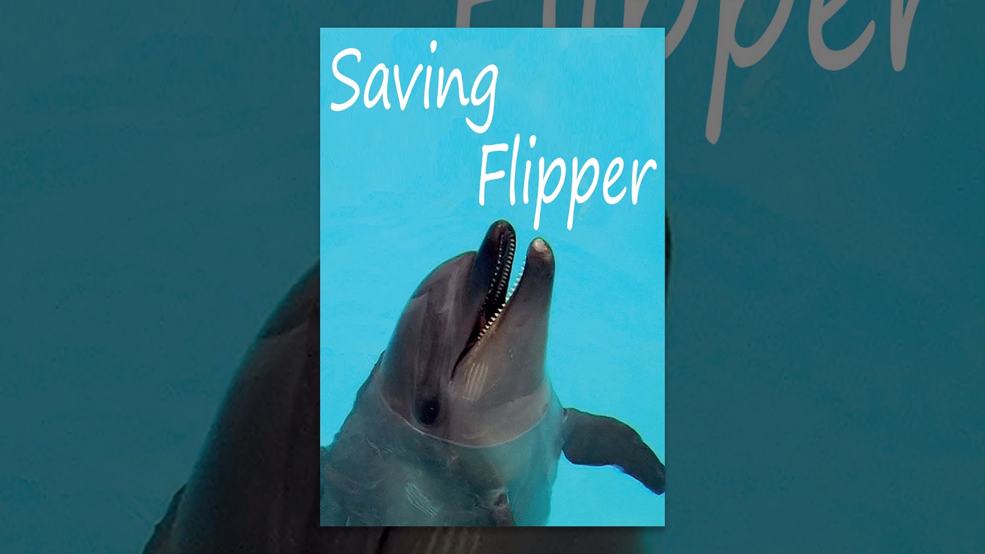 Saving Flipper - YouTube