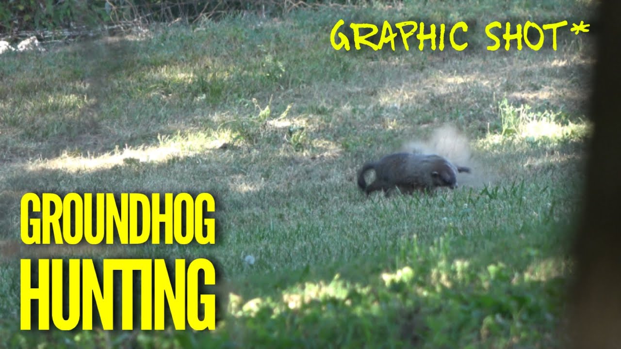 GroundHog Hunting (Slowmotion Shot!!!) - YouTube