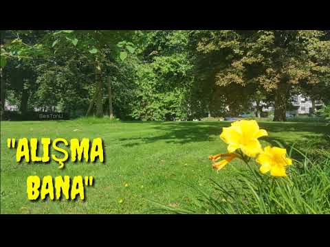 ALIŞMA BANA (ŞİİR)