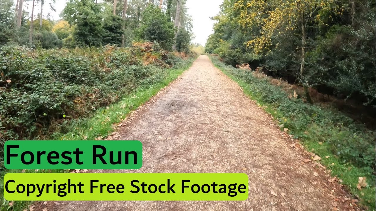 Forest Run Footage | Copyright Free Stock Footage Running Along Gravel ...