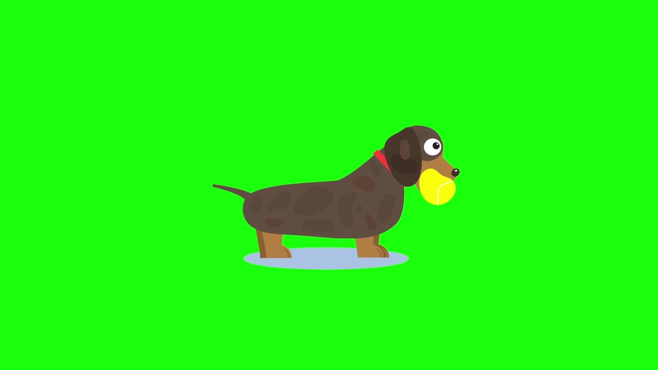 Cute Cartoon Puppy Green Screen Effects - YouTube
