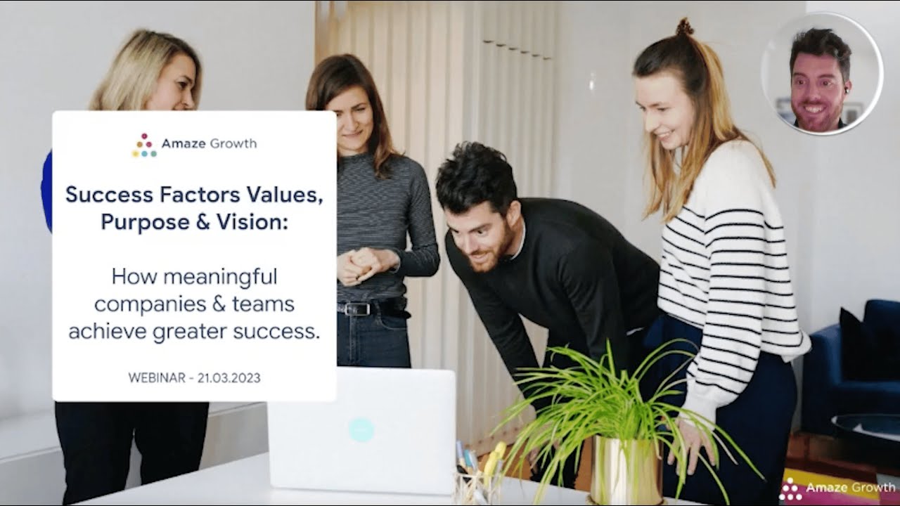 Success Factors Values, Purpose & Vision: How meaningful companies ...