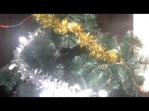 Balkona gizlice Sam agaci yaptim