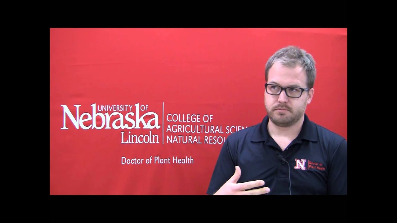 Chris Borman interview Dec 2014 - YouTube