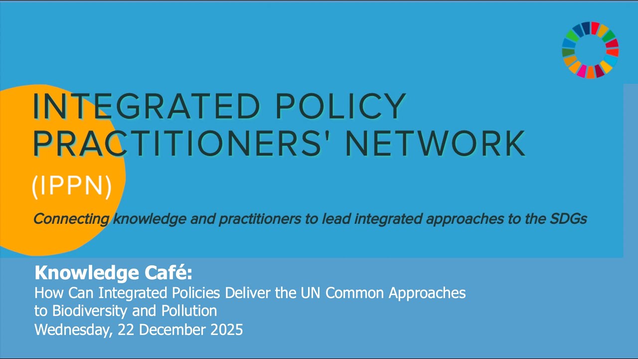 IPPN Knowledge Café: How Can Integrated Policies Deliver the UN Common ...