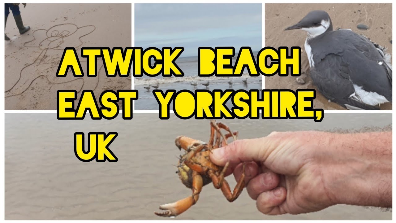 #80vlog | Atwick beach at East Yorkshire, uk - part 2 | Found dead crab ...