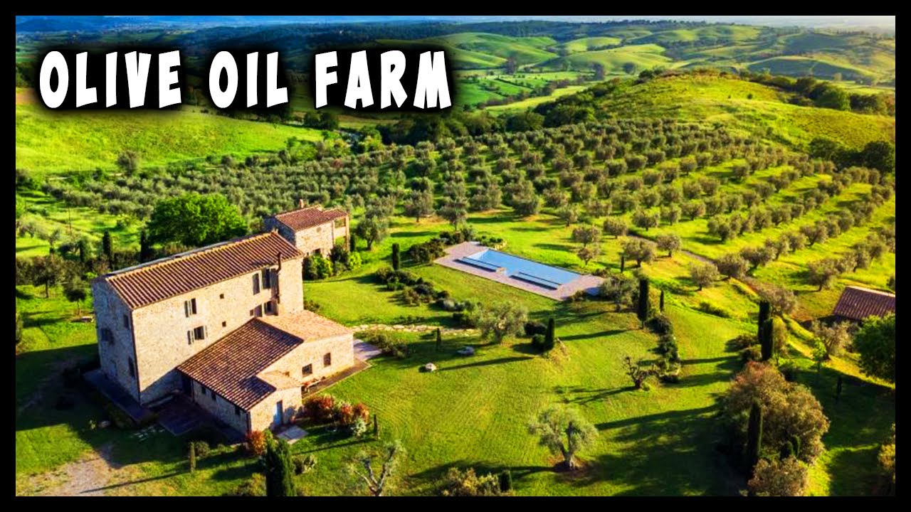 Country House With Olive Oil Farm and Extra Cottages Tuscany - YouTube