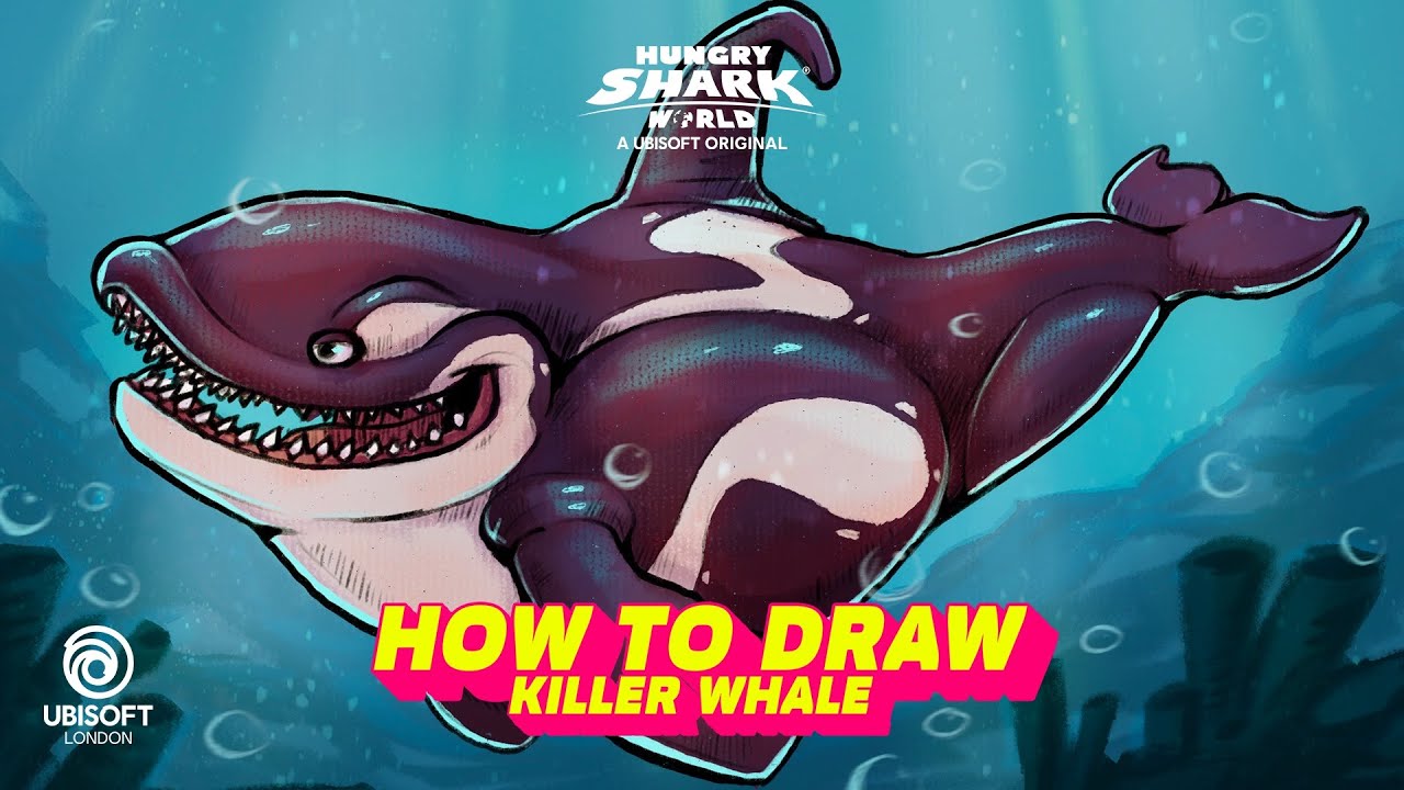 Hungry Shark | How to Draw Killer Whale - YouTube
