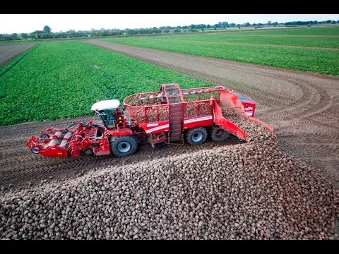 GRIMME REXOR 630 | self-propelled Beet Harvester - YouTube