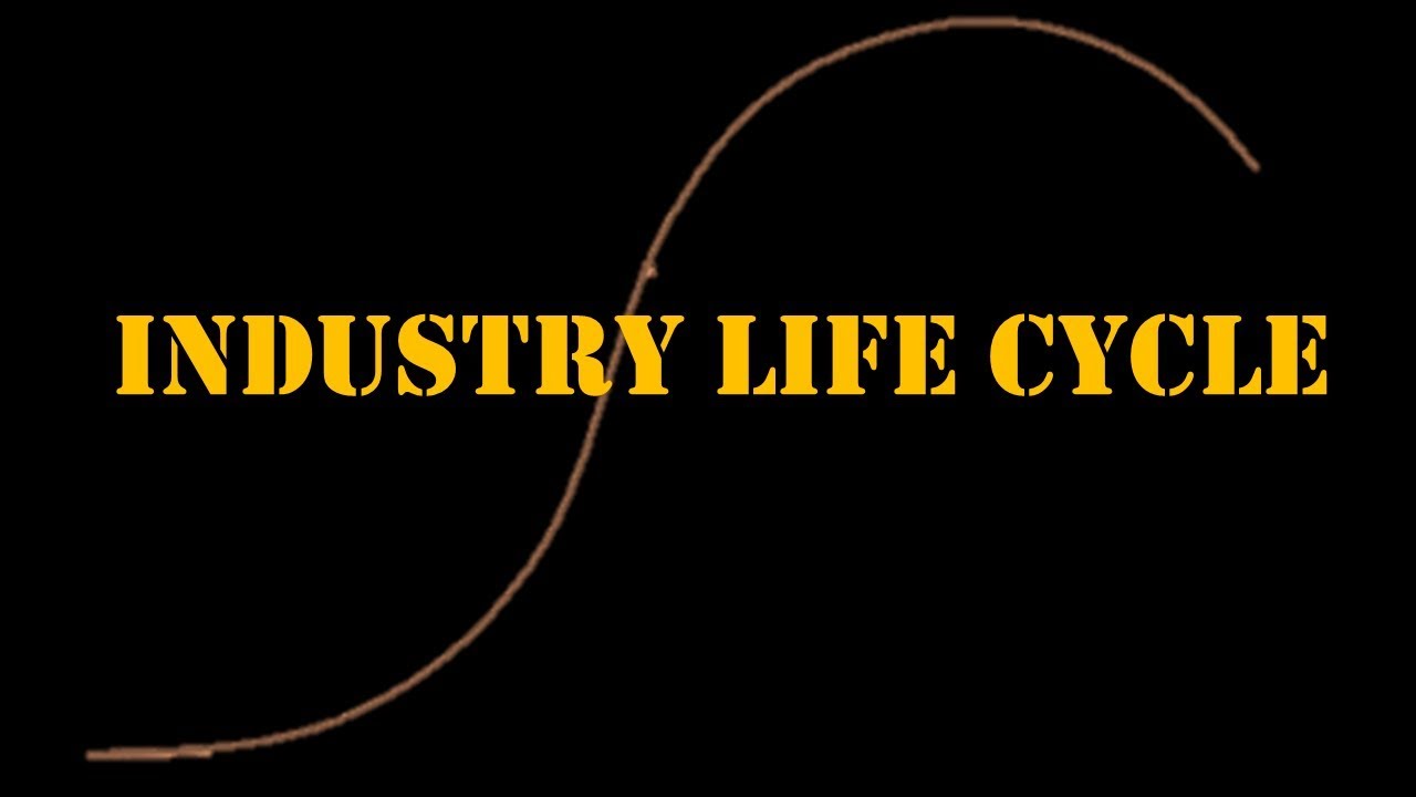 Industry Life Cycle Strategic Management Industry Life Cycle 1111 vn industry-life-cycle-strategic-management-industry-life-cycle-1111-vn