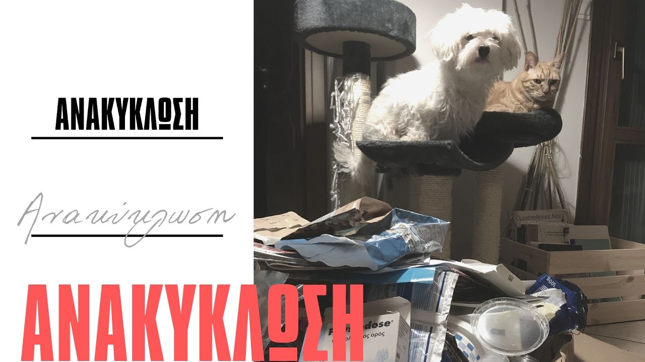 ΑΝΑΚΥΚΛΩΣΗ ΤΩΡΑ! |Πώς ανακυκλώνουμε σωστά! - YouTube