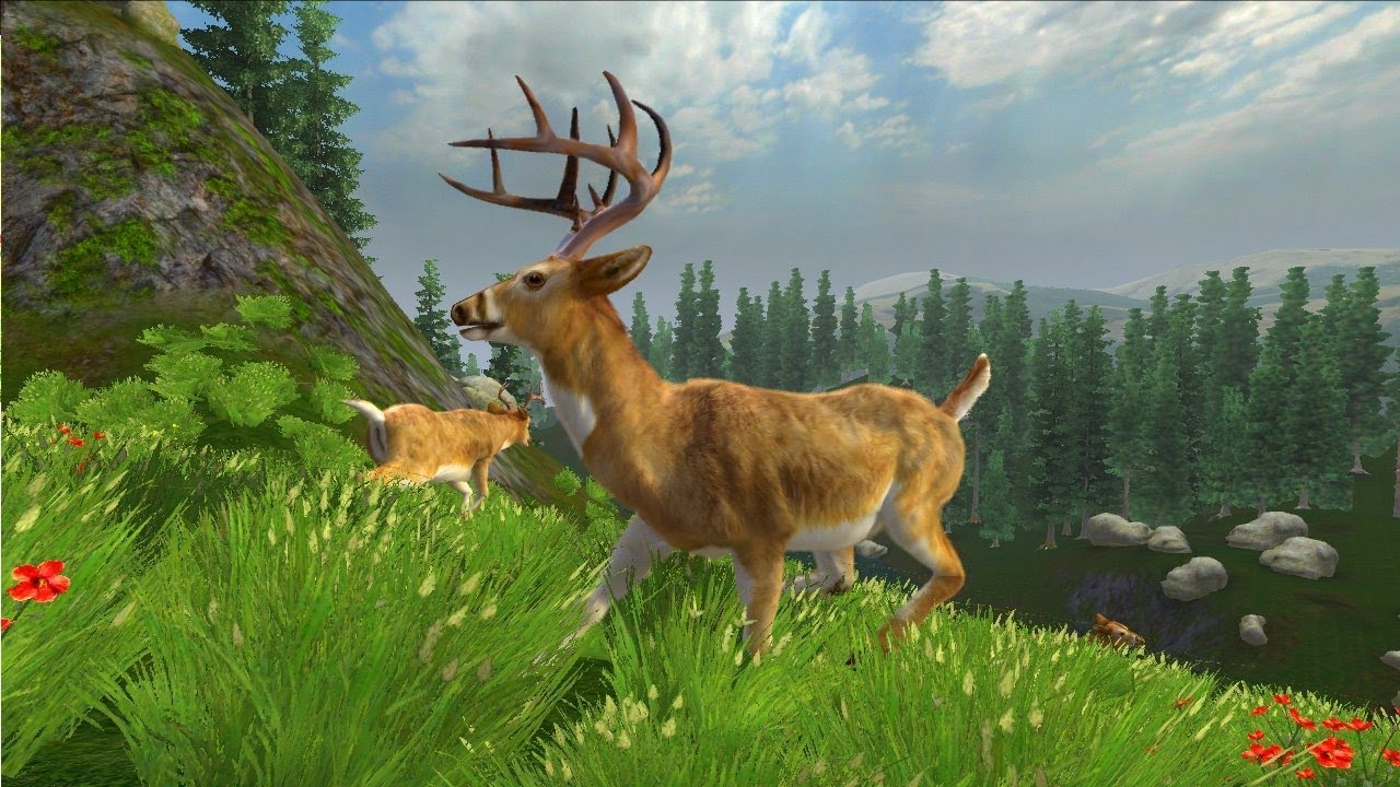 Cabela's Monster Buck Hunter (Wii) - Gameplay [4K 60FPS] - YouTube