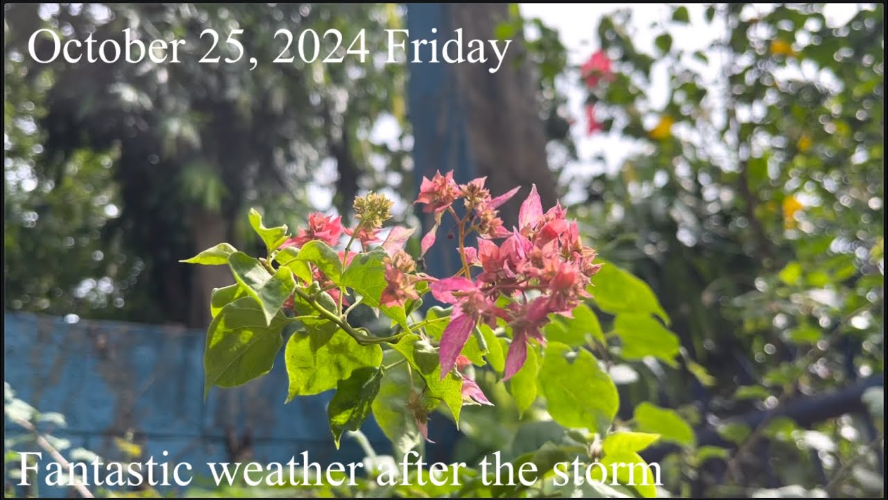 “Every Cloud has a Silver Lining” October 25, 2024…Friday. Fine Weather ...