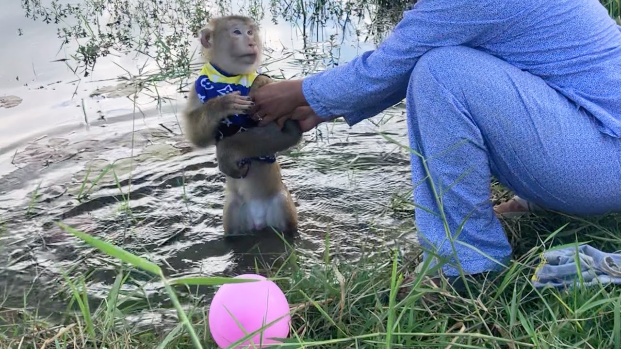 Smart Jason Look Innocent Stand Cleaning In Lake Agree With Mom ...
