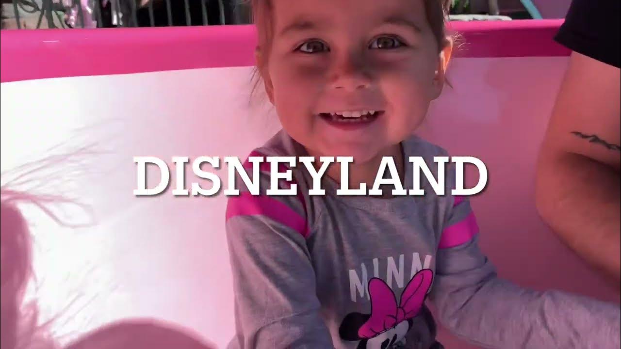 Surprising My Two Year Old With Disneyland YouTube surprising-my-two-year-old-with-disneyland-youtube