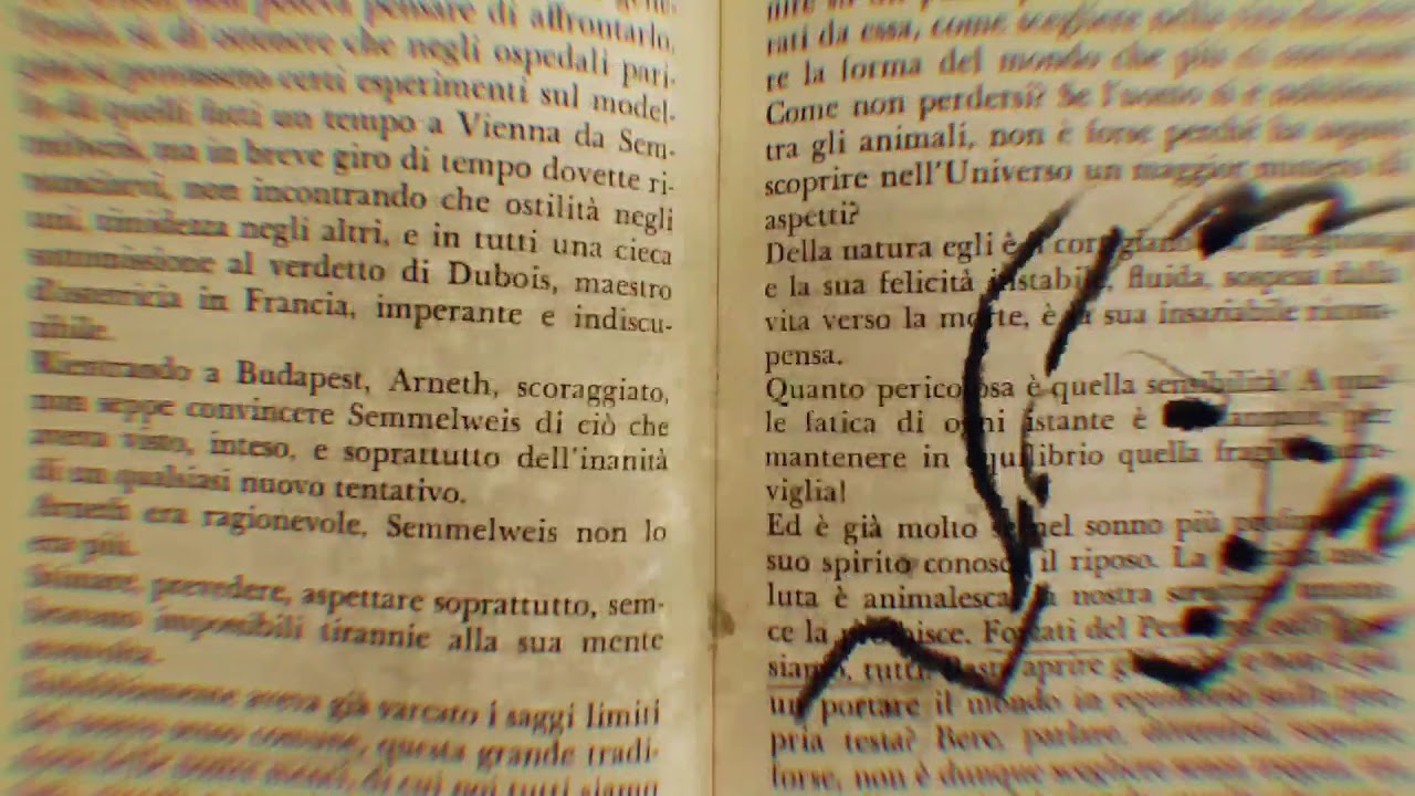 Libro animato - YouTube