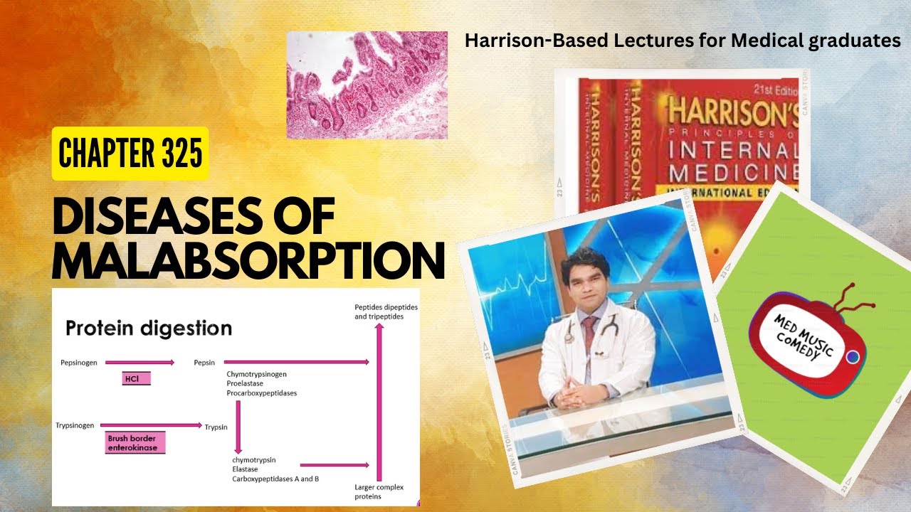CHAPTER 325 | DISORDERS OF ABSORPTION | DR DEVENDER BAIRWA - YouTube