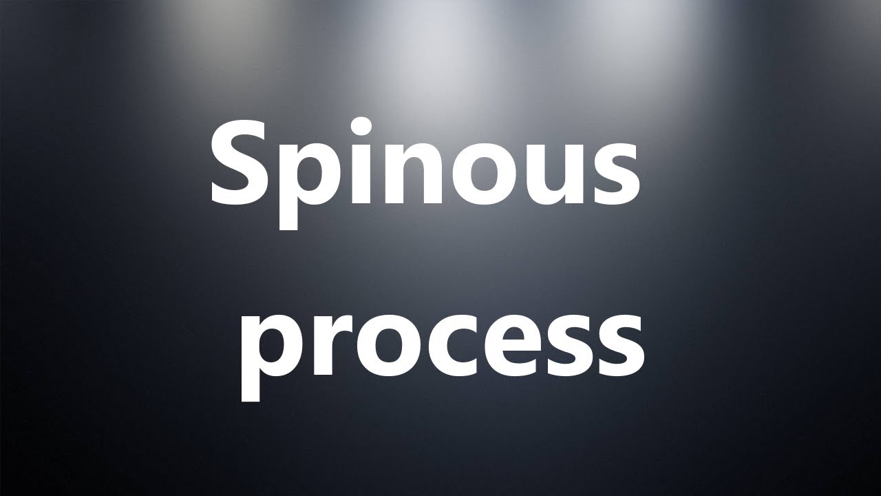 Spinous process - Medical Meaning and Pronunciation - YouTube