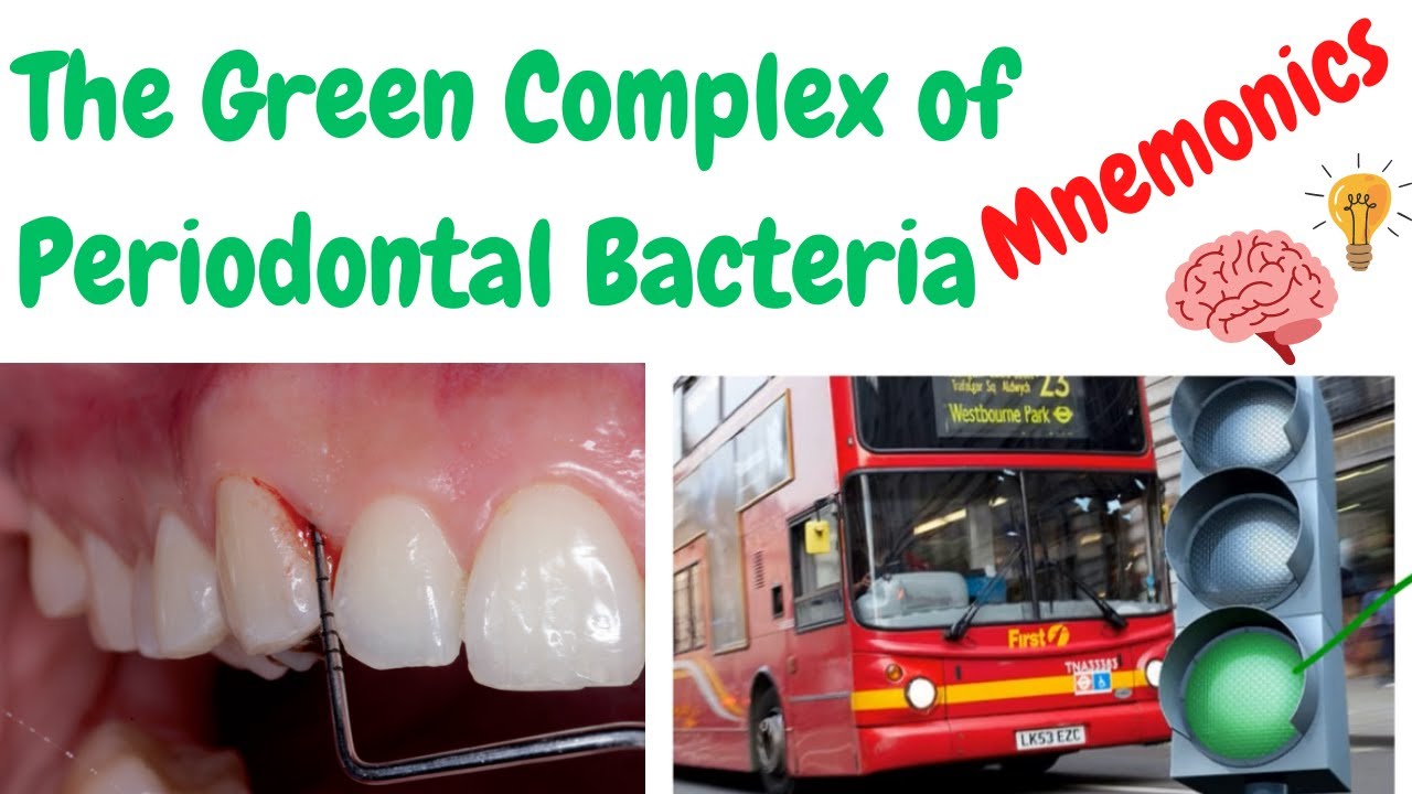 MNEMONIC: The Green Complex of Bacteria in Periodontal disease | NBDE ...
