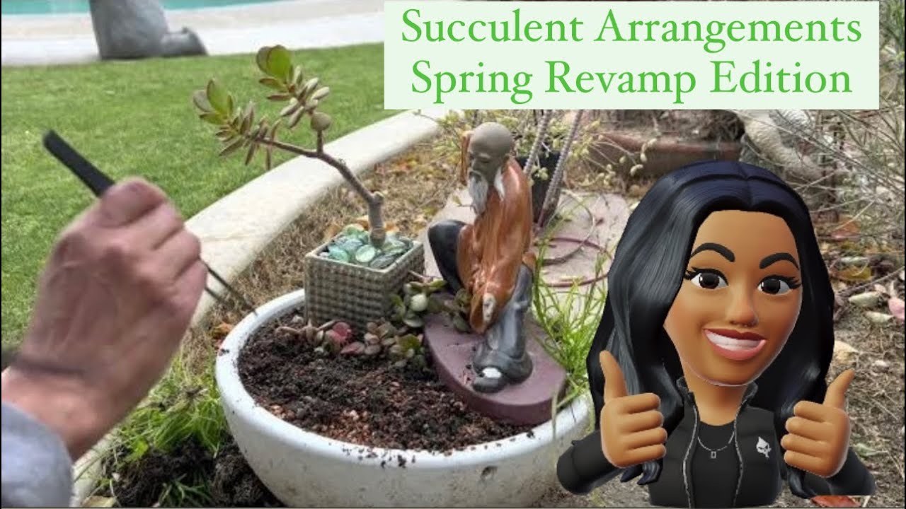 Succulent and Cactus Arrangement Spring Cleaning | Succulent Garden ...