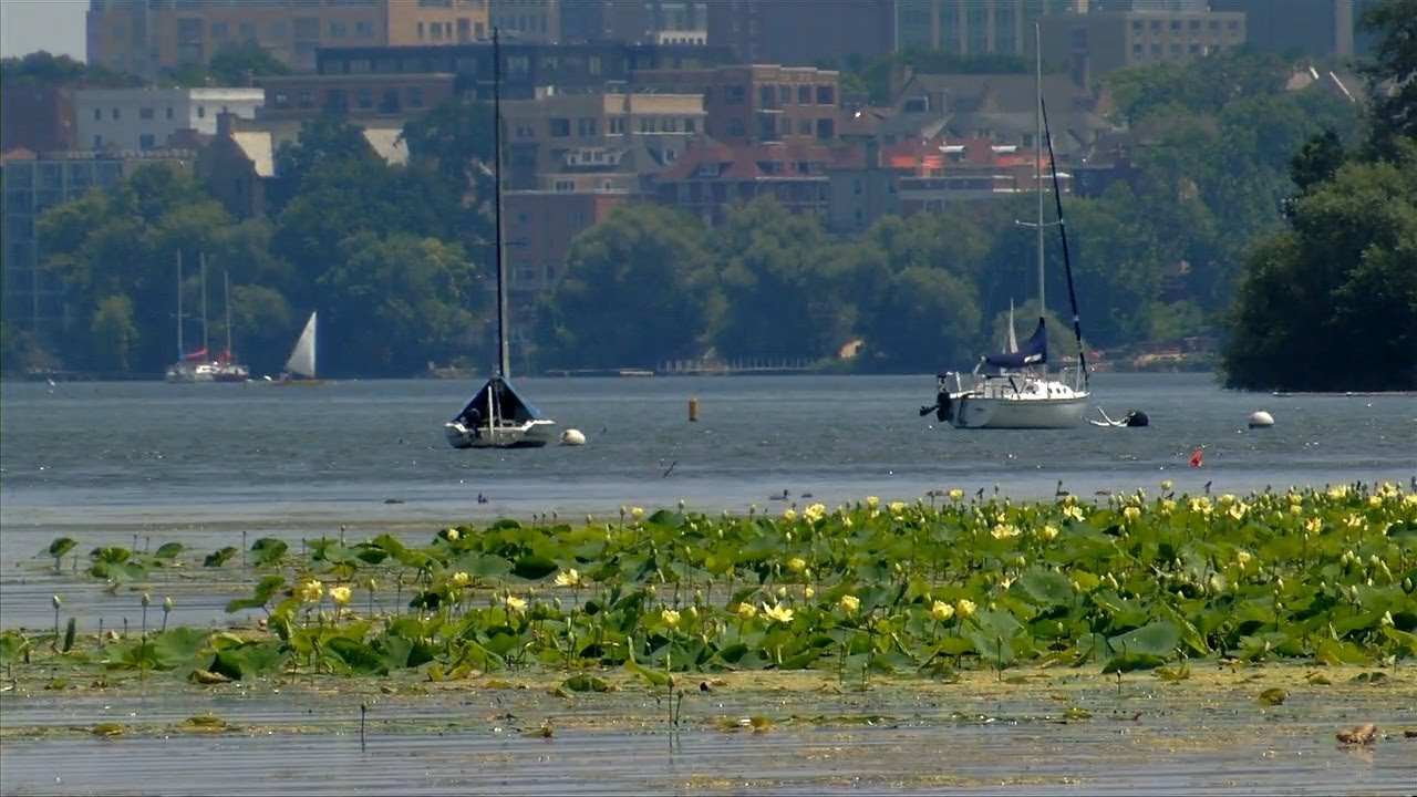 Dangerous heat wave heading towards Wisconsin; health official urges ...
