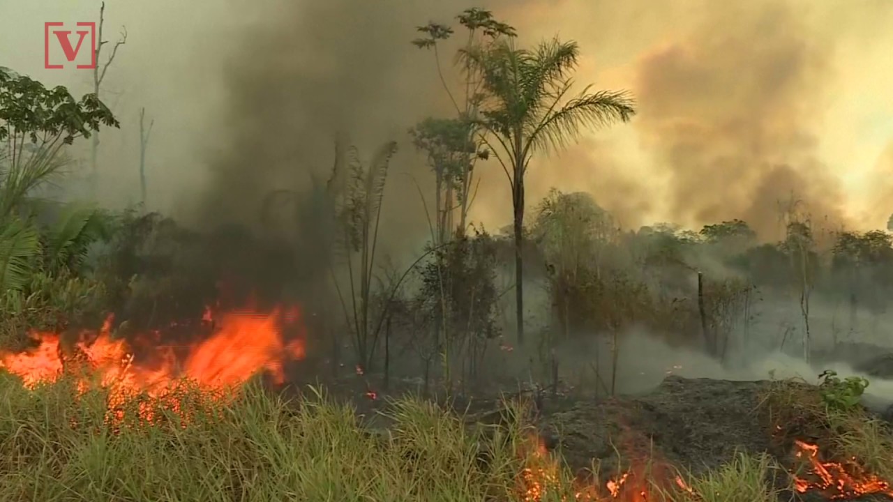 NASA Satellite Images Show Africa’s Congo Basin Has More Fires Than ...
