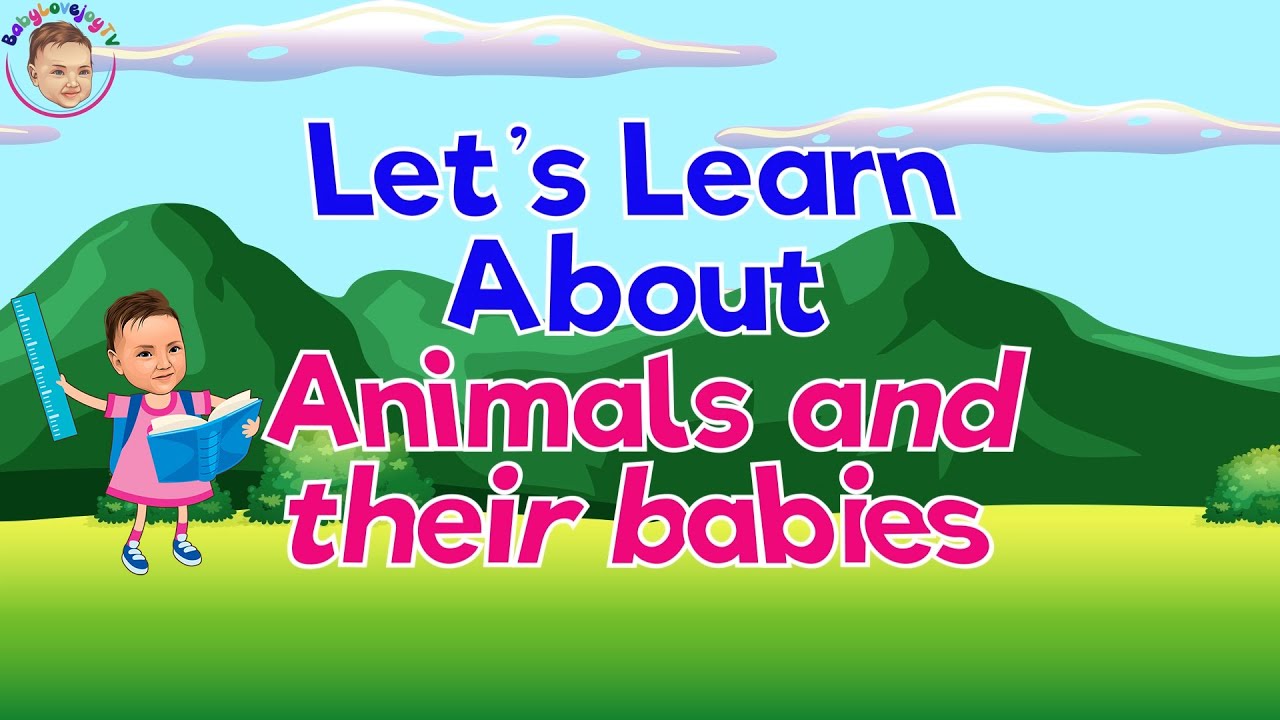 Baby Einstein Learning Videos for Toddlers & Preschool Learning Videos ...