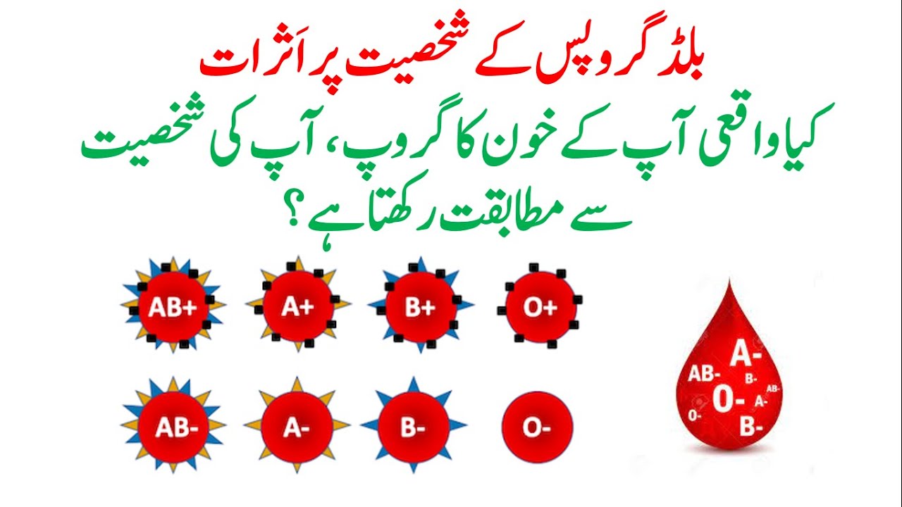 Relationship Between Blood Group Type and Our Personality - YouTube
