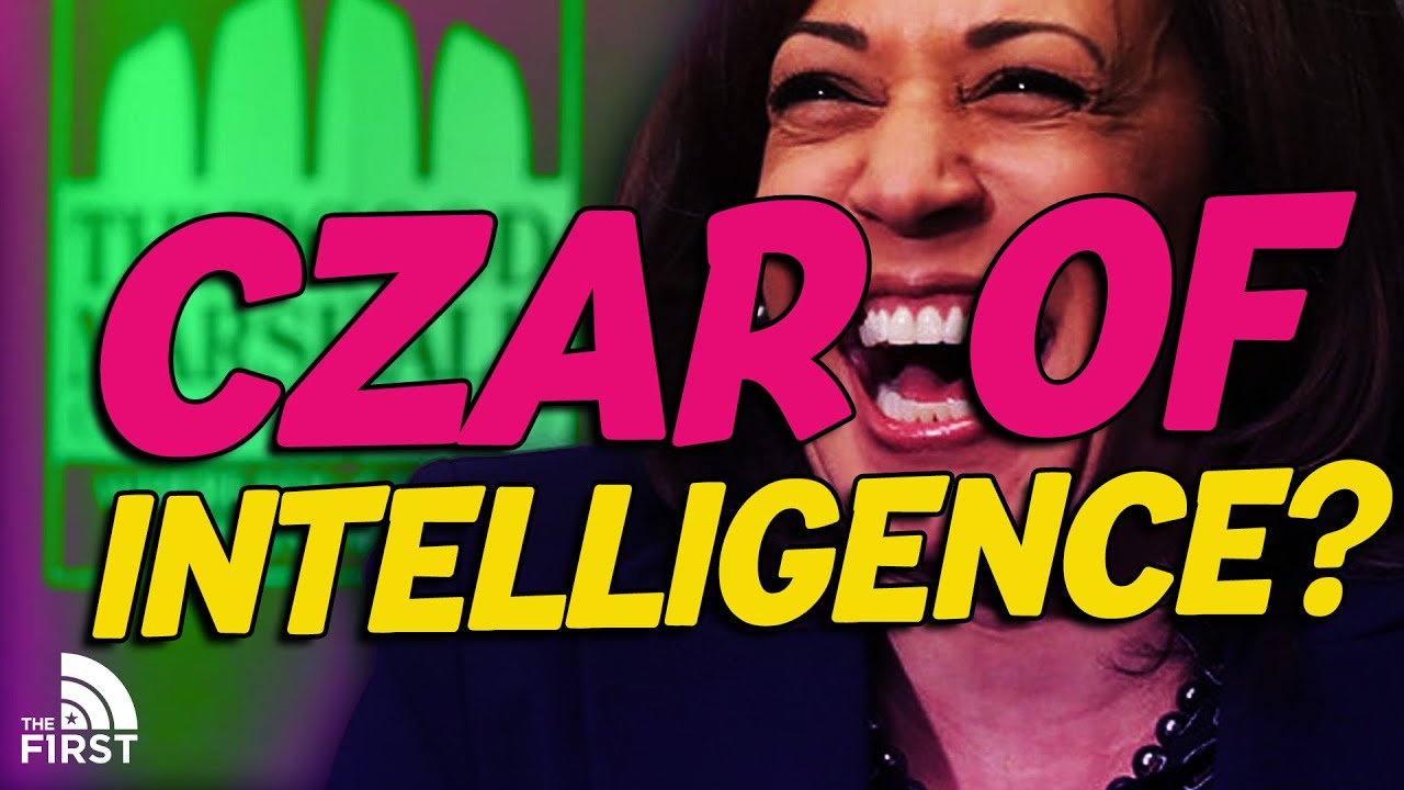 VP Harris Announced As The New "AI Czar" | Dana Loesch - YouTube