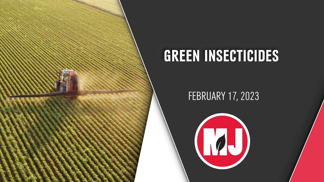 Green insecticides | February 17, 2023 - YouTube
