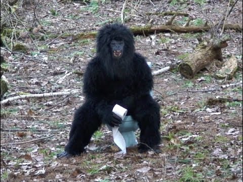 MYSTICAL CREATURES HUNTERS Episode 3 Sandsquatch mating territory - YouTube