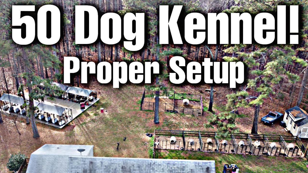 Proper kennel setup ideas! - YouTube